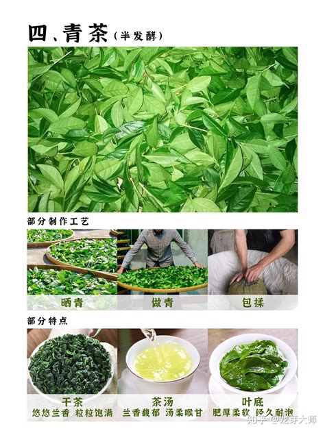1张图带你了解中国茶叶六大茶类各自的品类和特点 茶叶科普 知乎