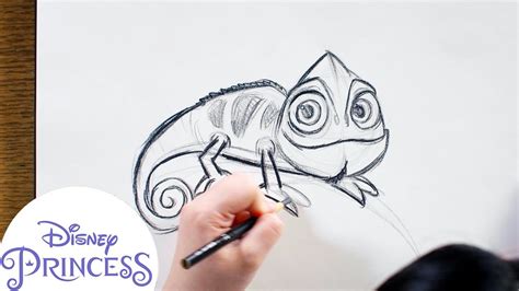 How To Draw Pascal From Tangled Disney Princess Youtube