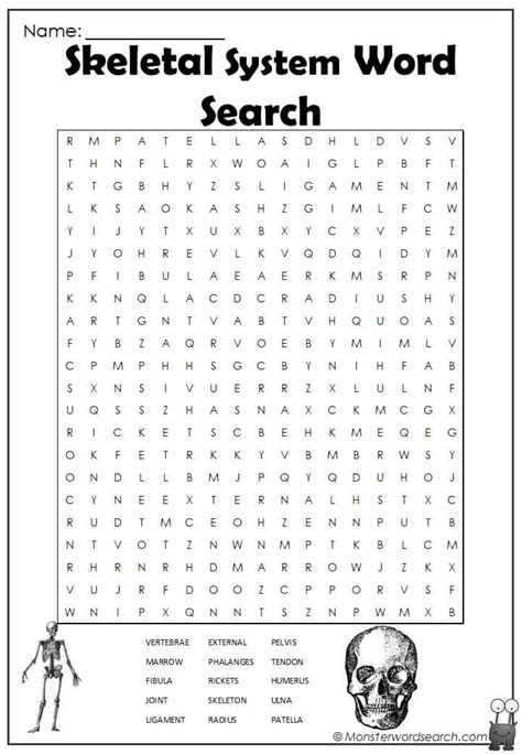 Skeletal System Word Search Words Word Find Skeletal System Activities