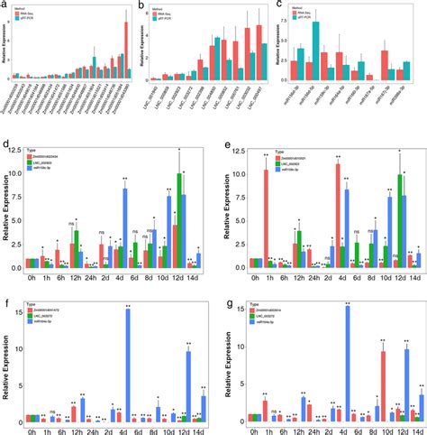 QRT PCR Was Performed To Validate The Differentially Expressed MRNAs
