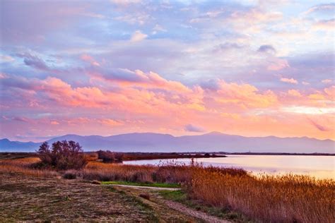Guide Canet Plage Lieux activités et tourisme Sun Location