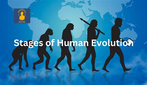 Evolution Pictures