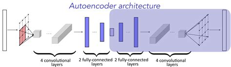 model reduction of dynamical systems on nonlinear manifolds using deep convolutional