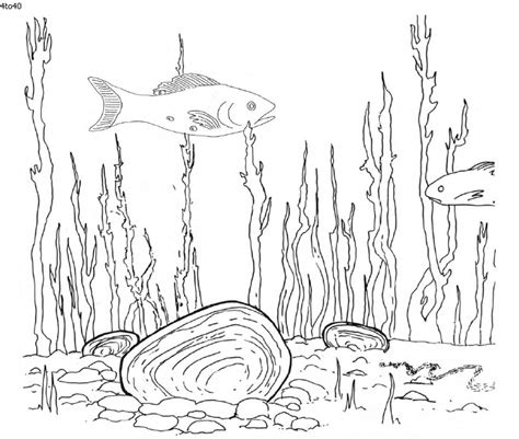 Desenho De Peixes No Rio Amazonas Para Colorir Tudodesenhos Porn Sex