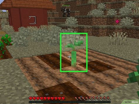 How To Grow Mangrove Trees In Minecraft Easy Guide