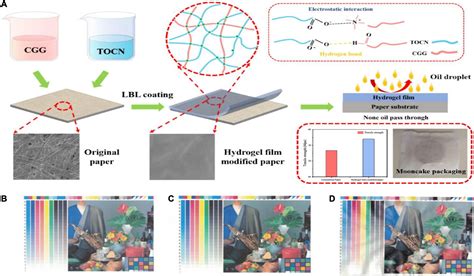 Frontiers Cellulose Based Functional Hydrogels Derived From Bamboo