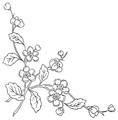 Flower Sketch Png Picture 2230174 Flower Sketch Png