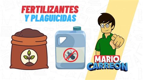 Beneficios de los Fertilizantes Orgánicos en la Calidad del Suelo