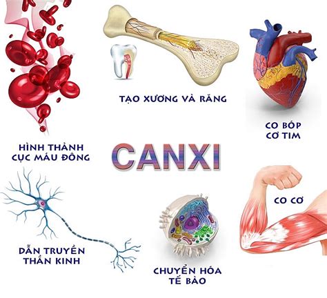 Những công dụng đặc biệt của canxi với cơ thể con người