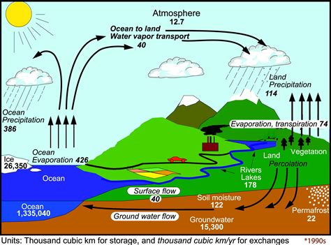 Water Cycle Diagram Labeled