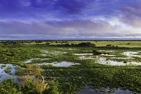 Pantanal Passion Brazil