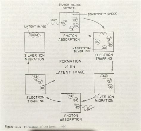Latent Image Formation In Emulsion Radiologystar