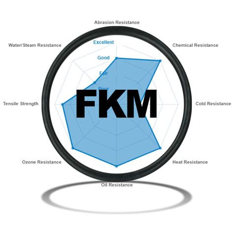 Fkm Datasheet Cheap Offer Gbu Hamovniki Ru