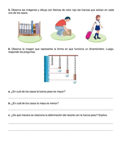 Evaluaci N De Ciencias Fuerzas A O B Sico Profe Social