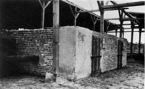 NAZI HOLOCAUST FILMS OPERACION REINHARD