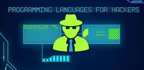 Top Programming Languages For Ethical Hacking In School Of It