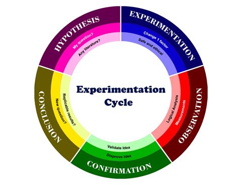 controlled experiment definition explanation and example