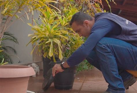 Prefeitura de Gurupi intensifica orientações de combate à dengue