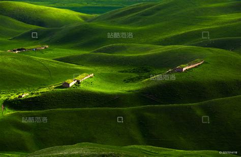 中国新疆伊犁喀拉峻草原春季风光 站酷海洛 正版图片 视频 字体 音乐素材交易平台 站酷旗下品牌