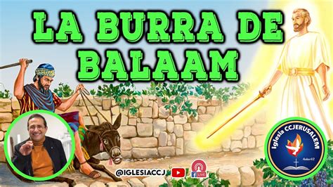 LA BURRA DE BALAAM LIVE YouTube