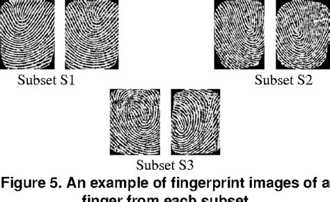 figure 5 from fingerprint classification using a homogeneity structure of fingerprint s