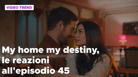 My Home My Destiny Il Riassunto E Le Reazioni Del 3 Novembre