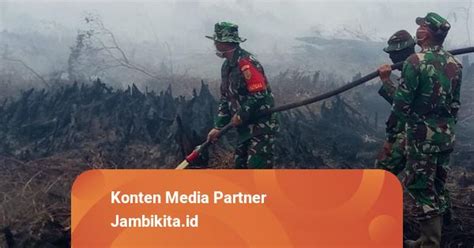 247 Ha Lahan Dan Hutan Terbakar Di Jambi Sepanjang Tahun Ini Kumparan