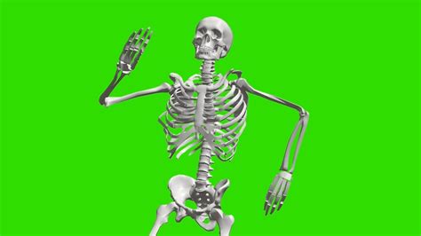 Skeleton Dance Green Screen Effect K Uhd Youtube