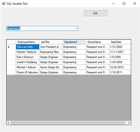 C Sharp Windows Form Application Using DataSets
