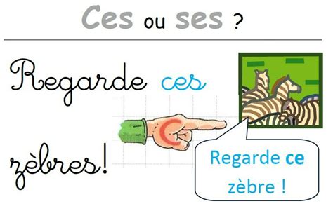 Affiche pour les homophones ces ses Des documents pédagogiques à