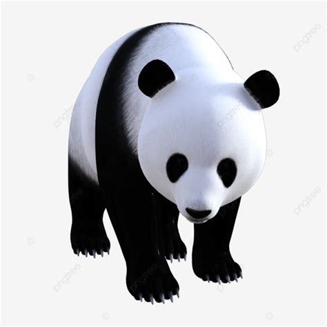 Panda D Model Illustration Panda Panda D Model Panda Cute Png