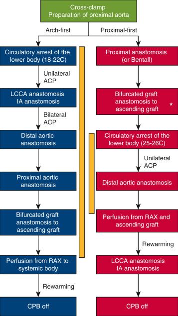 Zone 2 Arch Repair For Acute Type A Dissection Evolution From Arch