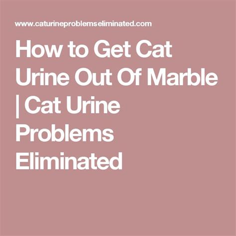 How To Get Cat Urine Out Of Marble Cat Urine Problems Eliminated
