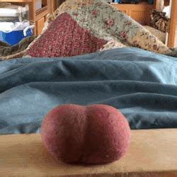 Love Ballbusting Tumblr Tumbex