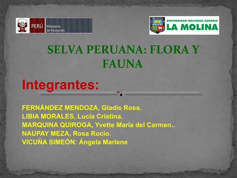 Pdf Flora Y Fauna Del Per Dokumen Tips