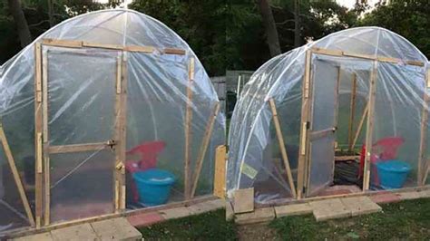 Cómo hacer un invernadero para marihuana paso a paso