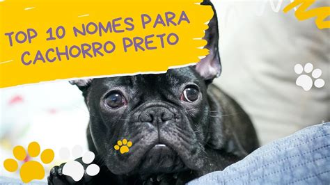 TOP 10 NOMES PARA CACHORRO PRETO