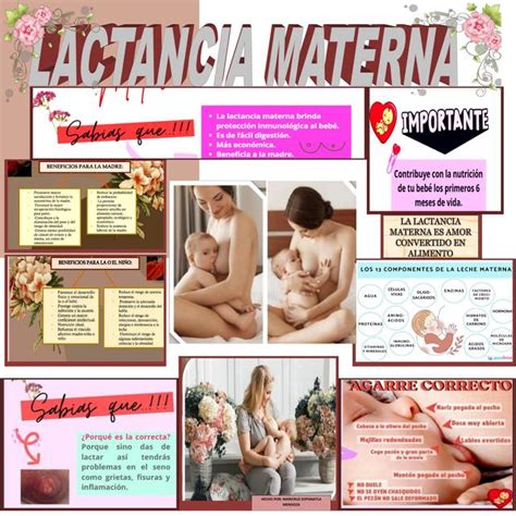 Lactancia Materna Futura Enfermera Udocz