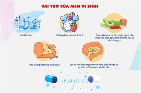 Phân biệt men vi sinh và men tiêu hoá Bản chất công dụng và cách dùng