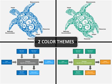 Turtle Diagram Powerpoint