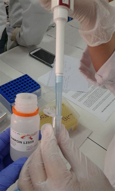 3 Pipetear 600 microL de tampón de lisis en el 1º tubo Notas de