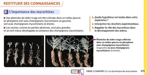Chapitre 1 Le fonctionnement des écosystèmes Comprendre et enseigner
