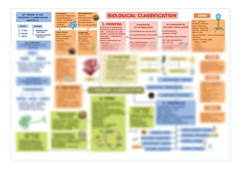 Biological Classification Mind Map Biology Mind Maps Nbkomputer