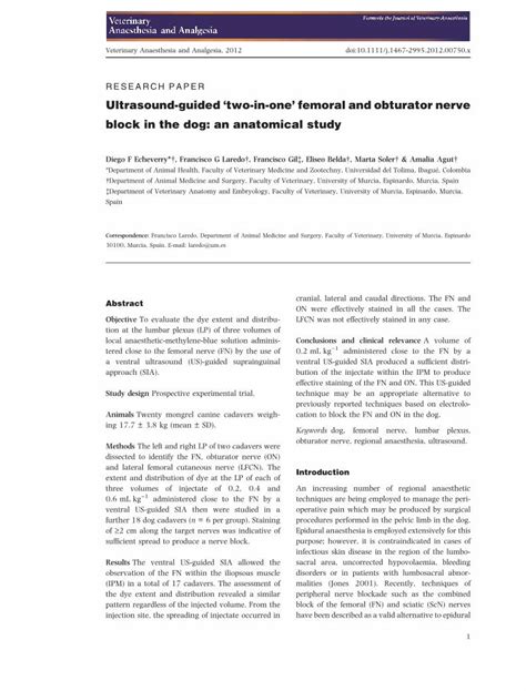 PDF Ultrasound Guided Two In One Femoral And Obturator Nerve Block