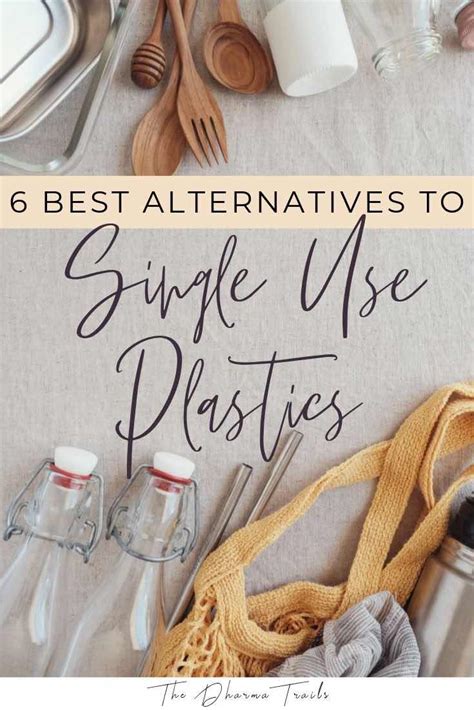 6 Best Alternatives To Single Use Plastics 2024