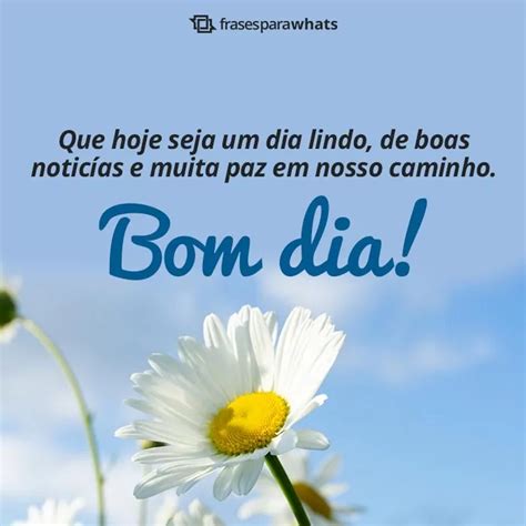 Novas Mensagens De Bom Dia Para Whatsapp Mensagens Feliz