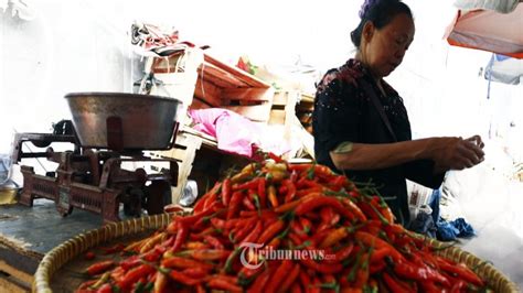 Harga Cabai Rawit Merah Melonjak Jelang Ramadan Tertinggi Di