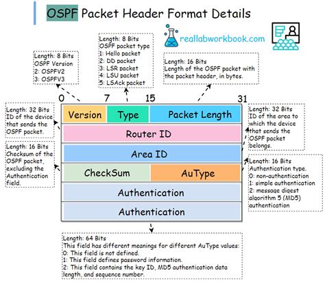 OSPF Packet Header Format Details By Rose White
