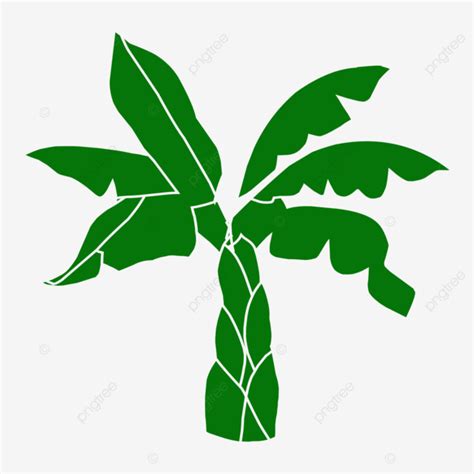 Illustration Of A Green Banana Tree Vector Banana Tree Green Leaf
