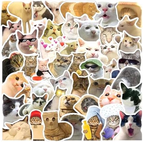GLADFRESIT 50Pcs Funny Cat Stickers Set Waterproof Vinyl Cat Meme